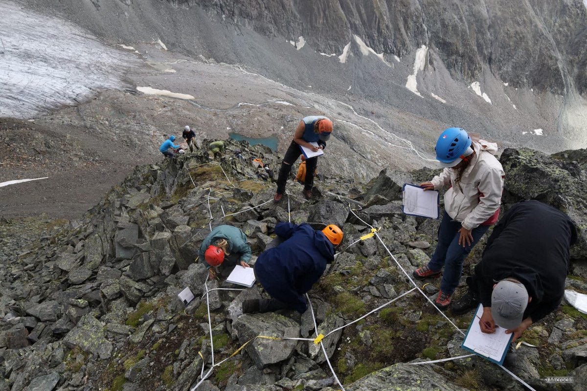 MICROCLIM: A Micro-Scale Perspective on Alpine Floras Under Climate Change
